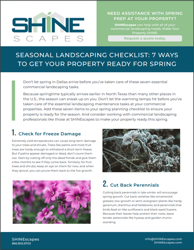 Commercial Seasonal Landscaping | Shinescapes